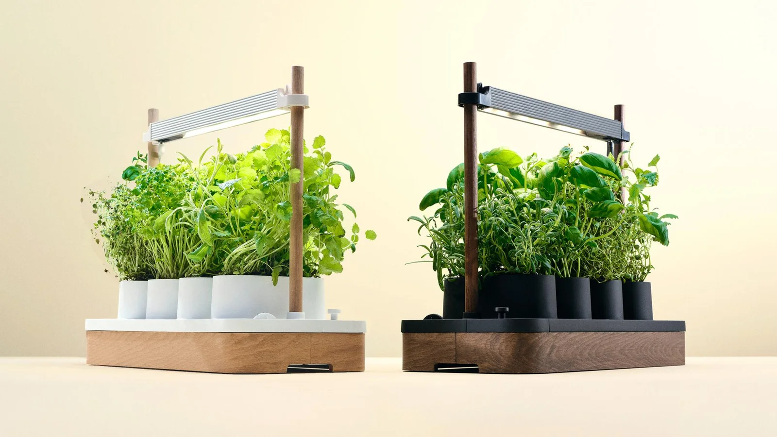 Sustainable Indoor Gardening Starts with Auk Mini | Muse.World